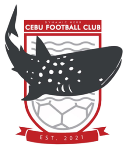 Philppines Football League Team Standings - Philippine Football Federation